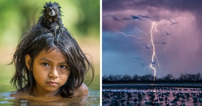 Coolest Photo Of The Year - CoolThingsWorld